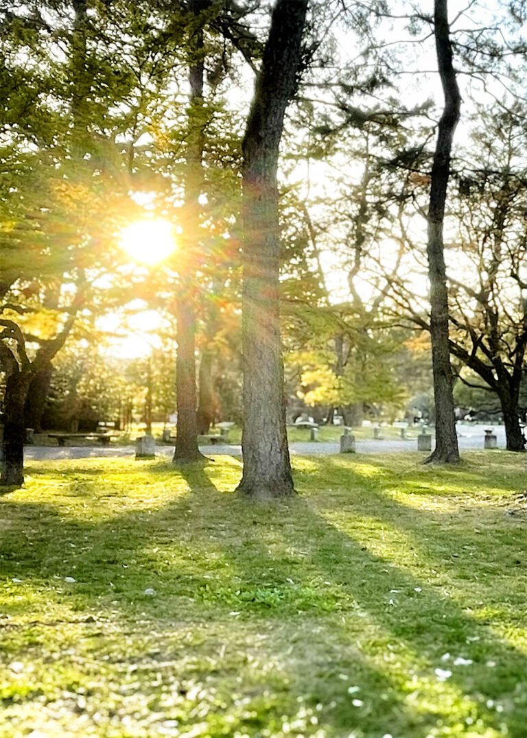 FACE HOUSE KYOTO | FACE HOUSE KYOTO official site